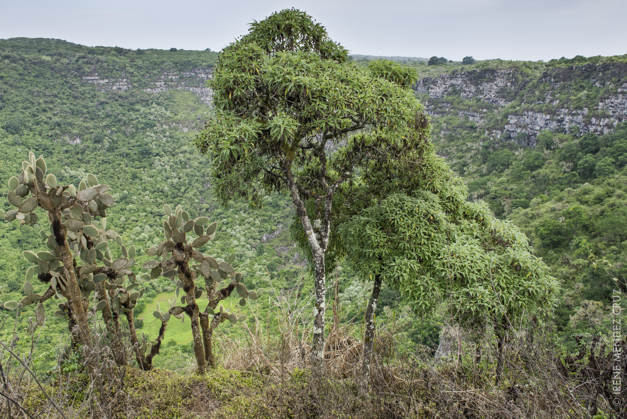 Galapagos National Park | COmON Foundation