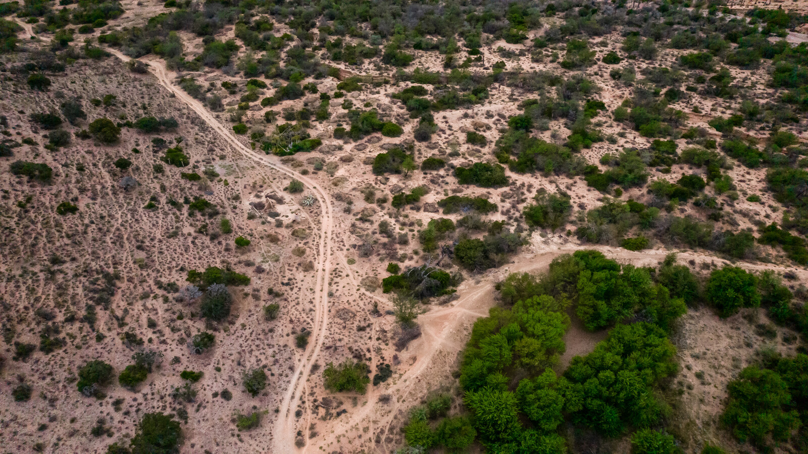 Landscape regeneration Baviaanskloof and Langkloof | COmON Foundation