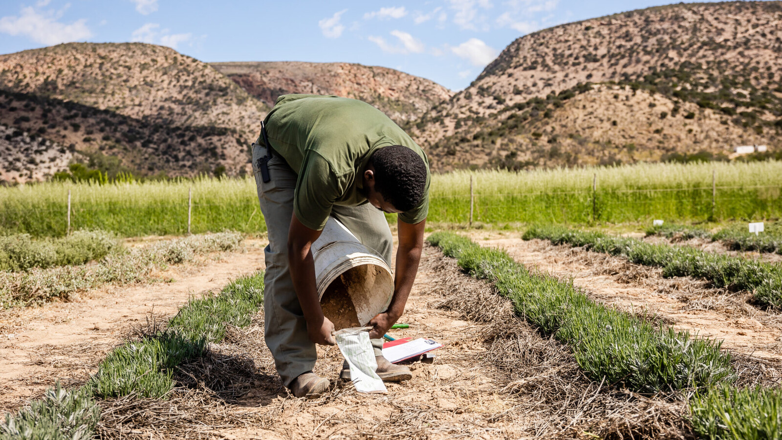 Landscape regeneration Baviaanskloof and Langkloof | COmON Foundation