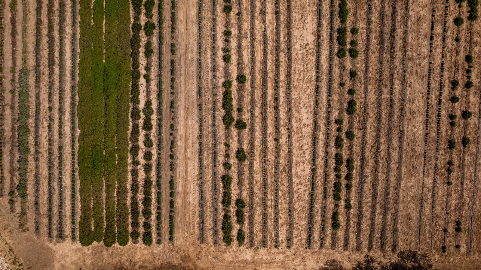 Landscape regeneration Baviaanskloof and Langkloof | COmON Foundation