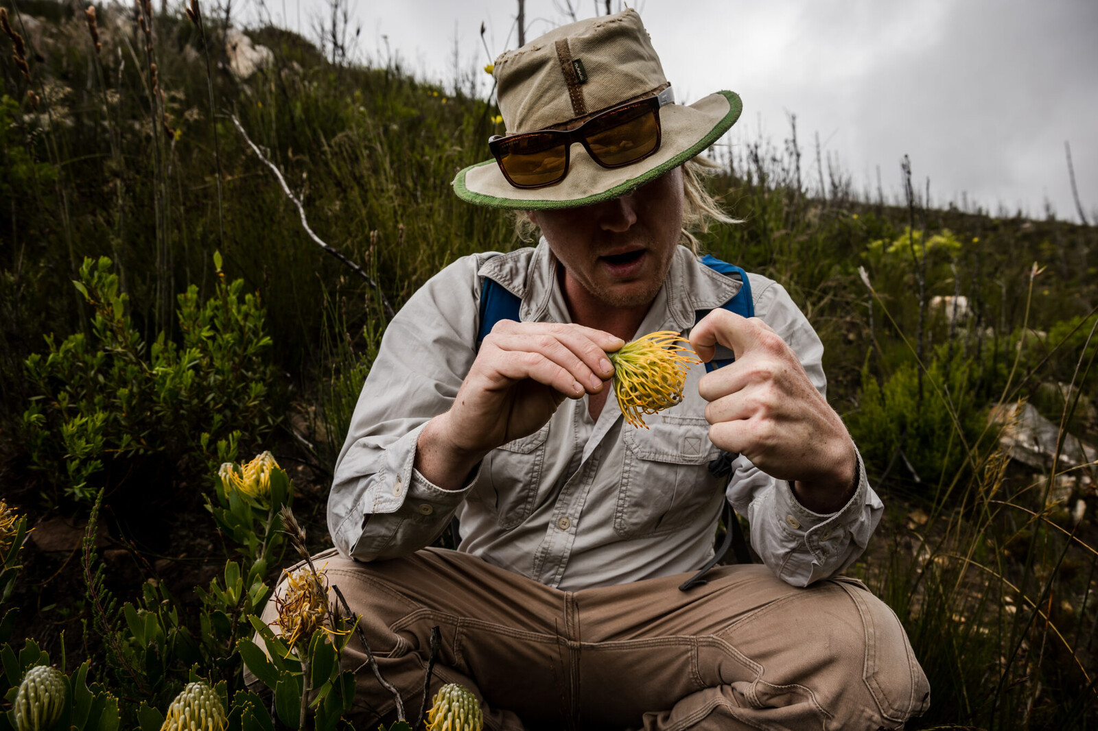Landscape regeneration Baviaanskloof and Langkloof | COmON Foundation