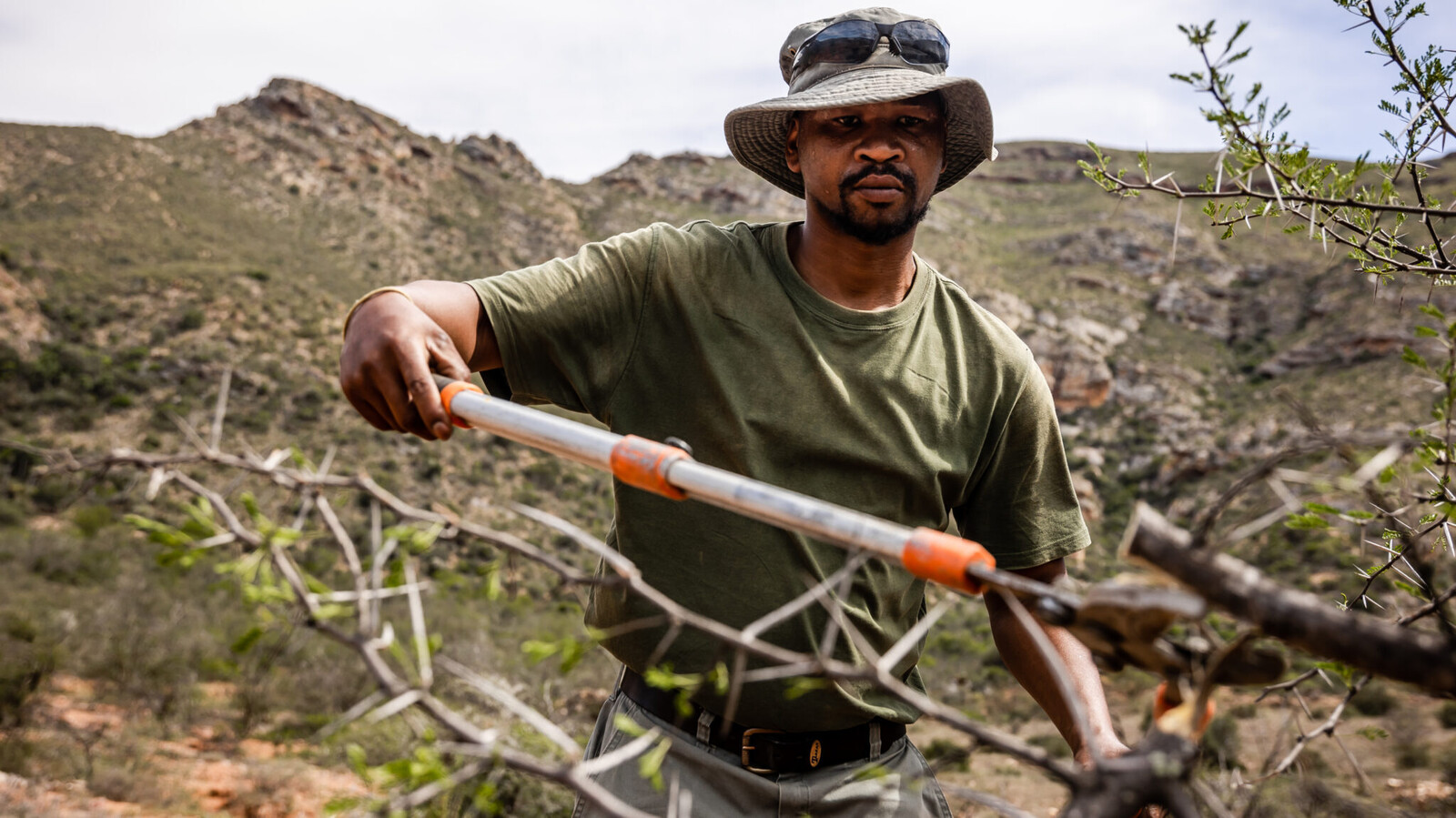 Landscape regeneration Baviaanskloof and Langkloof | COmON Foundation