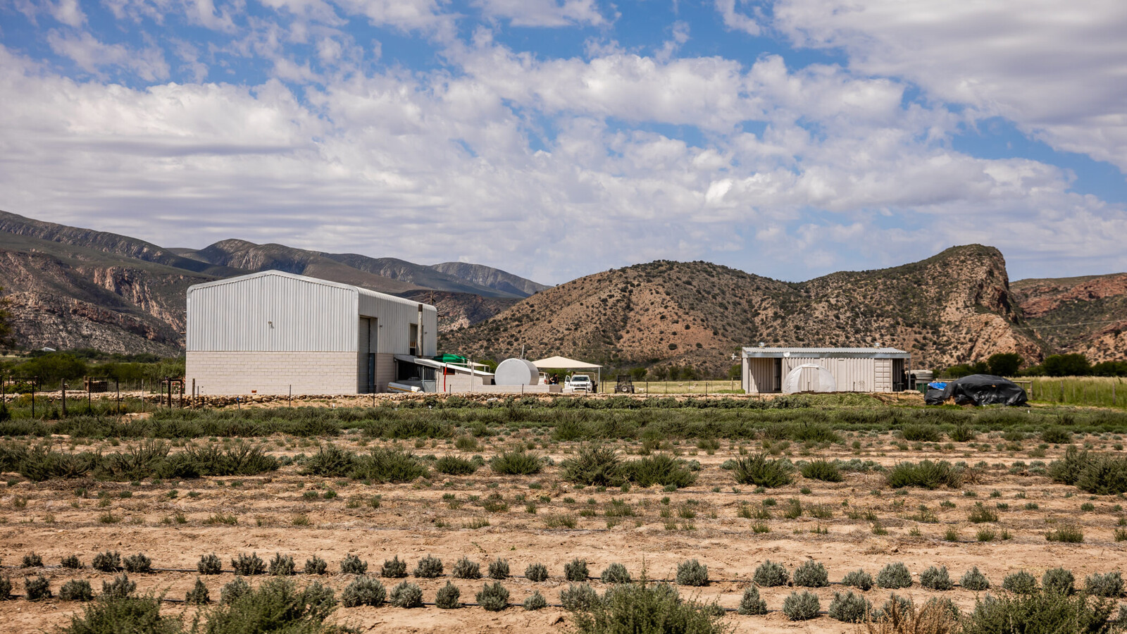 Landscape regeneration Baviaanskloof and Langkloof | COmON Foundation