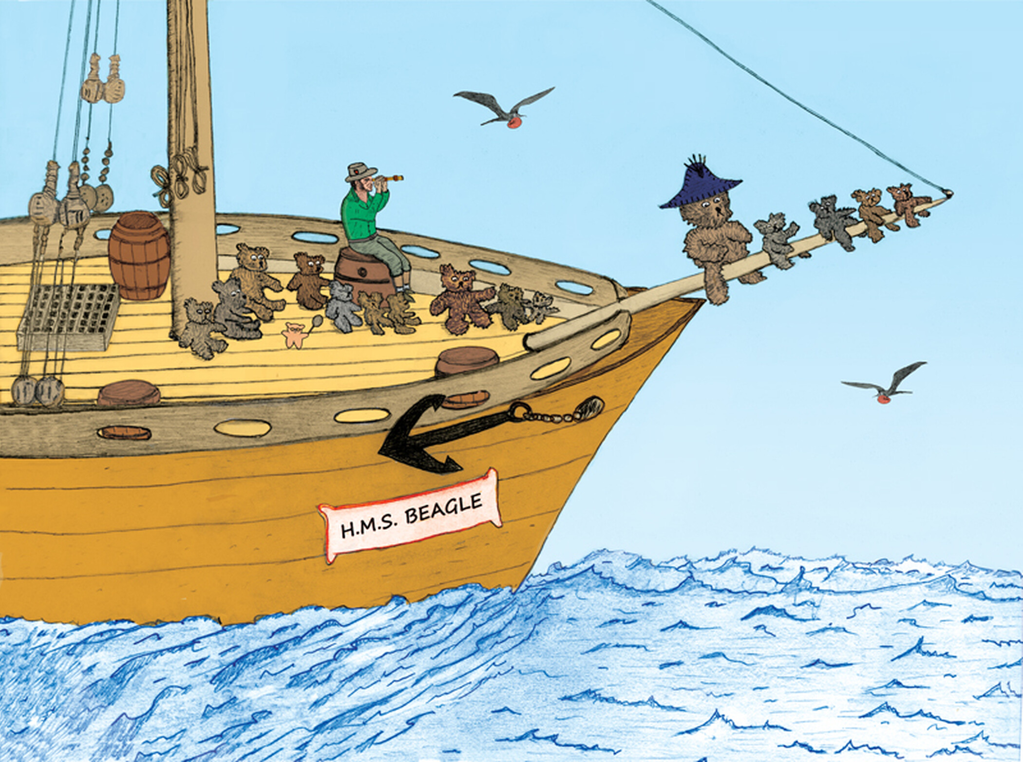 Book Darwin & His Bears | COmON Foundation