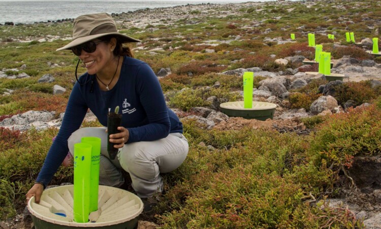 Charles Darwin Foundation | COmON Foundation