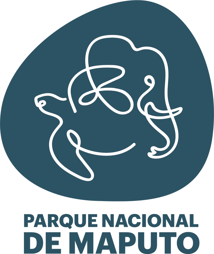 Maputo National Park | COmON Foundation