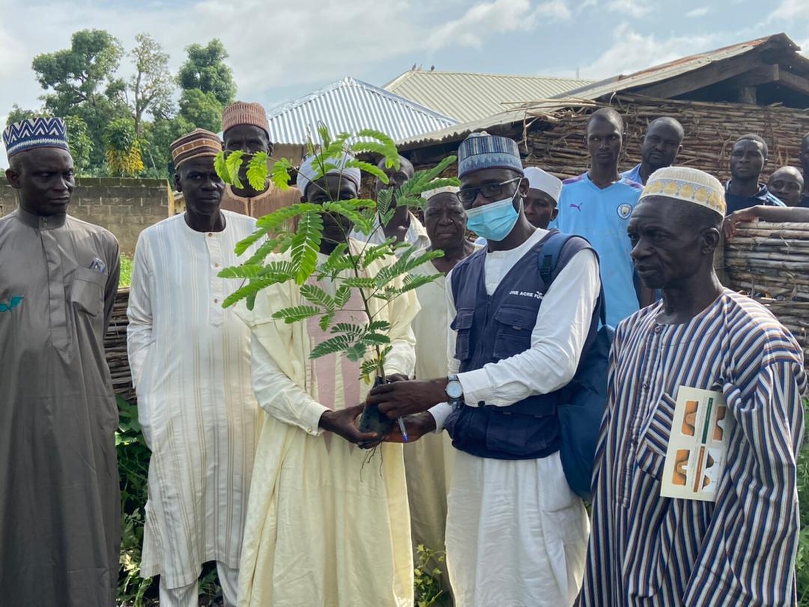 Planting trees for Resilience | COmON Foundation