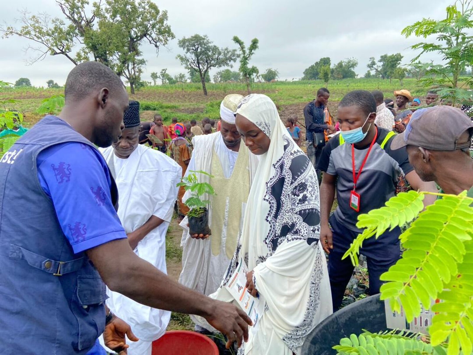 Planting trees for Resilience | COmON Foundation