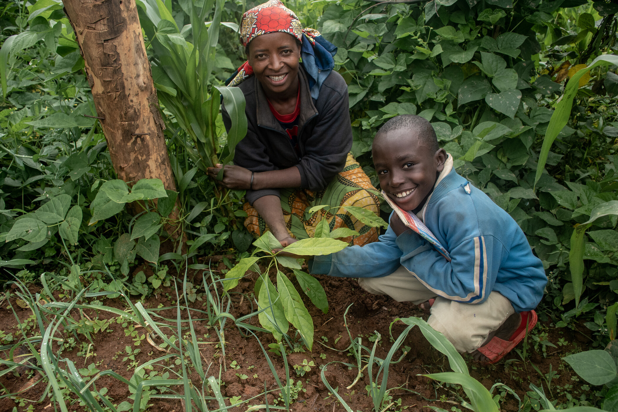 Planting trees for Resilience | COmON Foundation