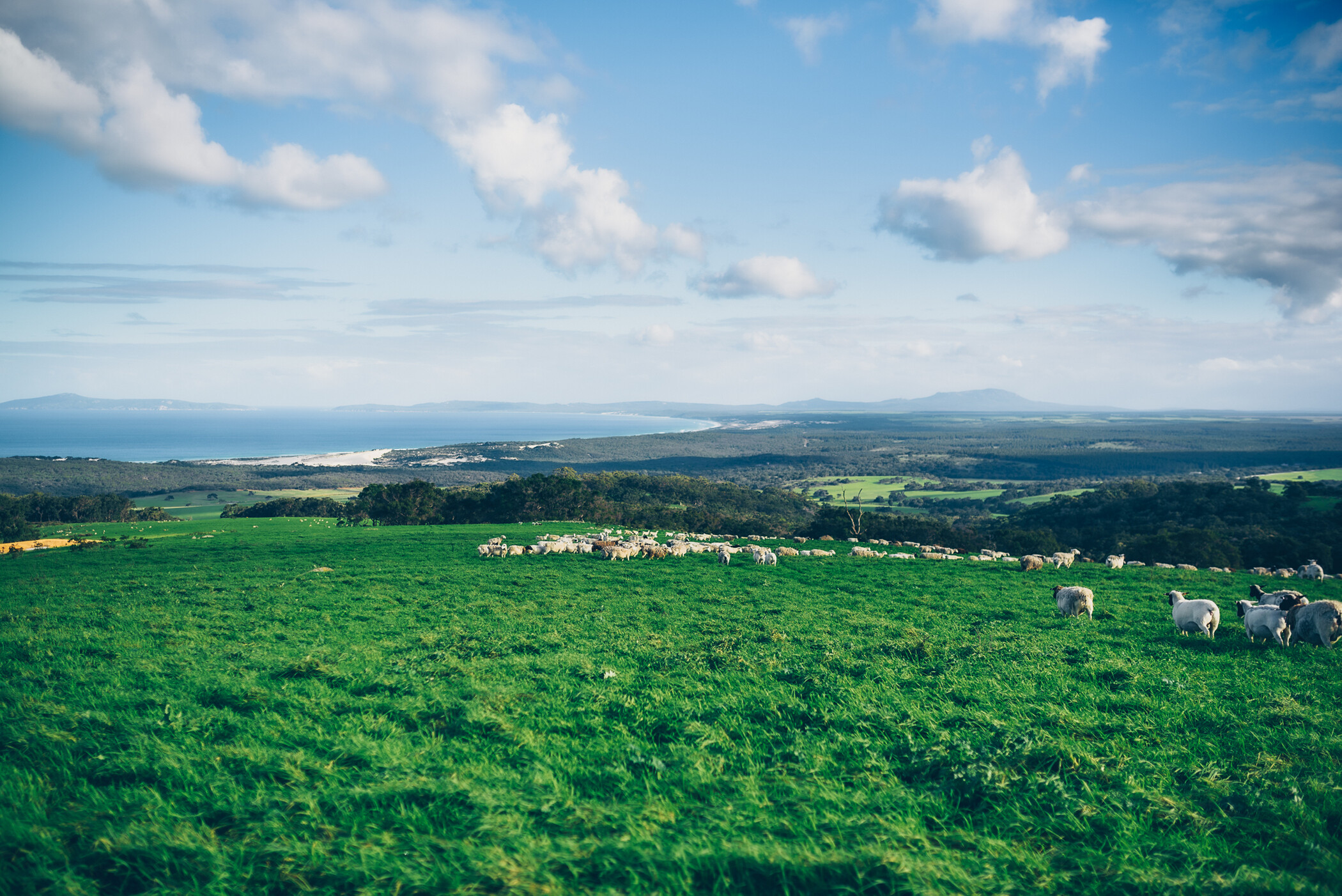 Wide Open Agriculture | COmON Foundation