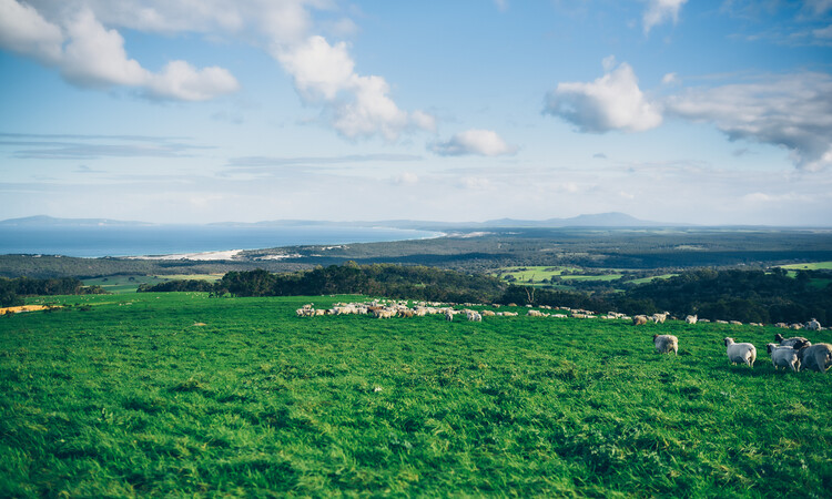 Projects | COmON Foundation