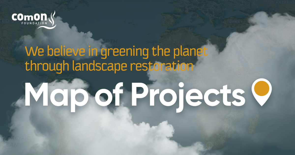 Landscape regeneration Baviaanskloof and Langkloof | COmON Foundation